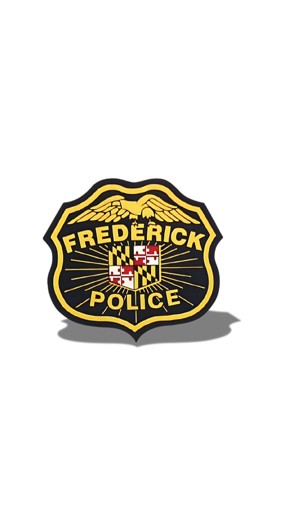Frederick Police Department Releases 2024 Annual Report - Frederick ...